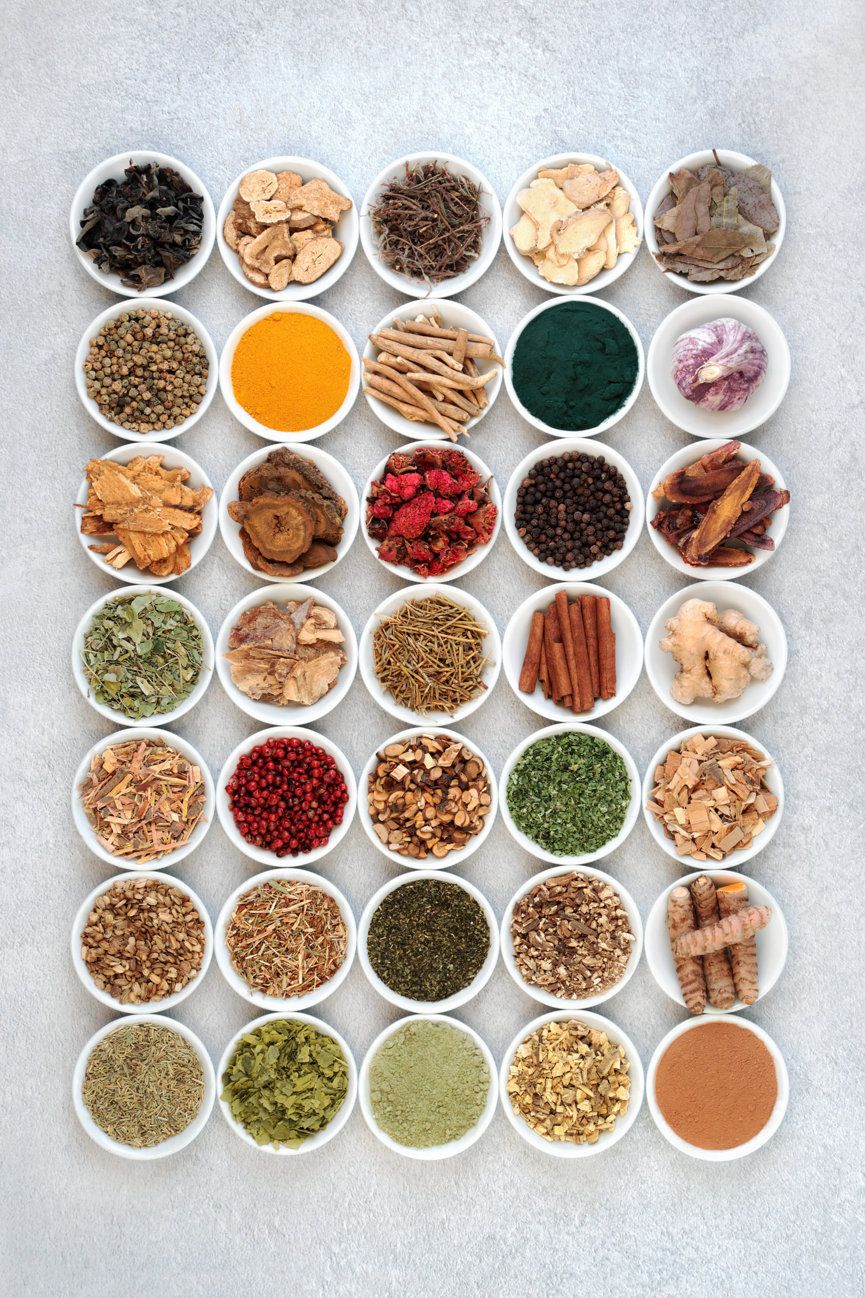 Services - The Canopy Lab