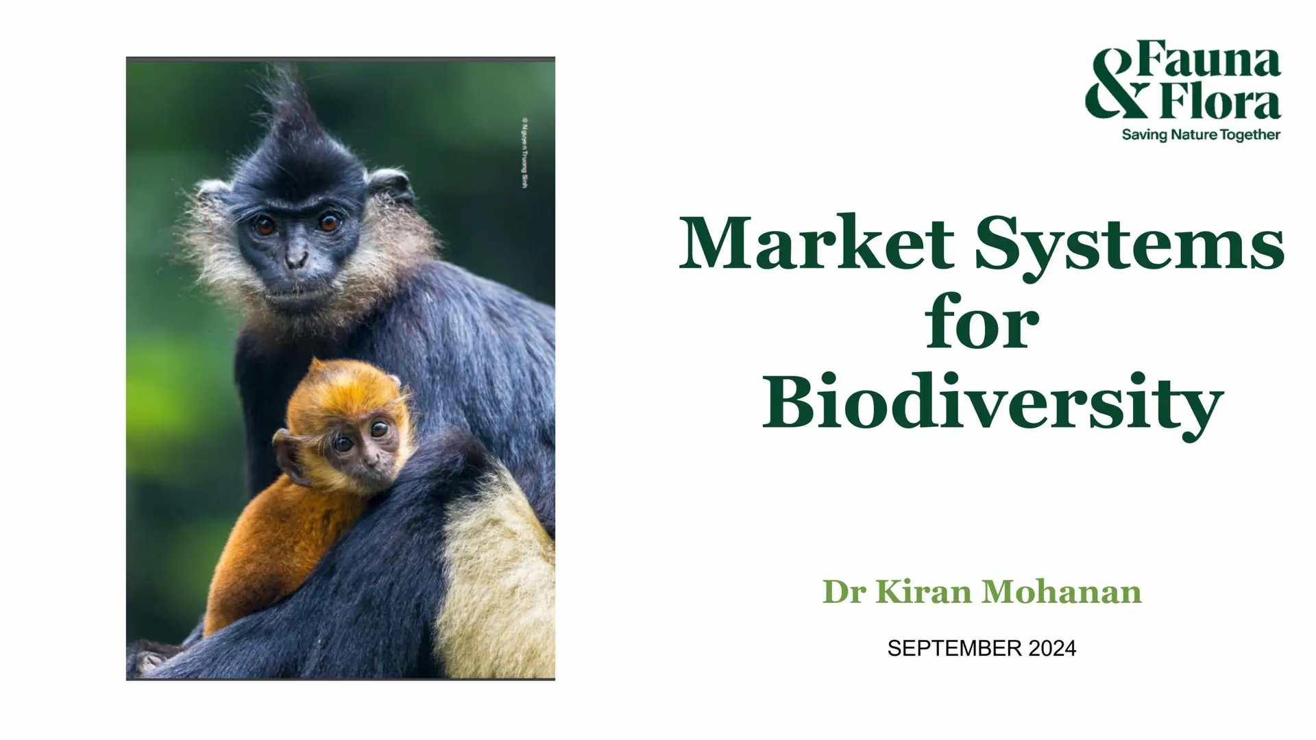 Conservation - The Canopy Lab